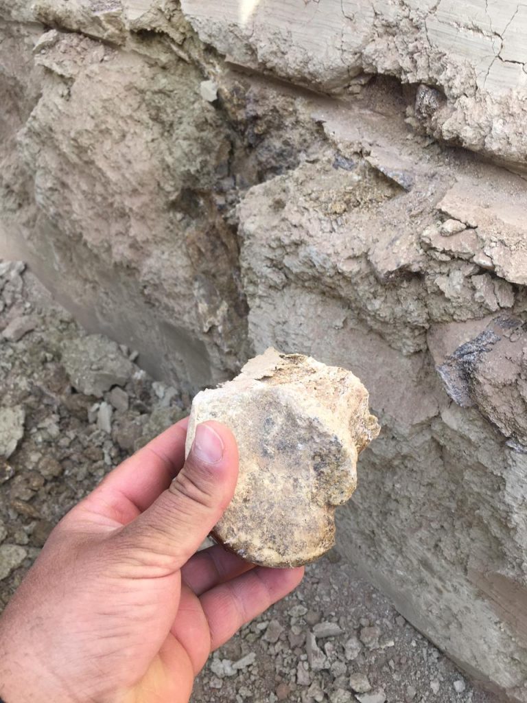 Descubrieron restos fósiles de 10 mil años atrás en la barranca de San ...