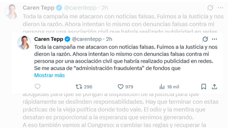 “Deslindar responsabilidades”: la frase de Caren Tepp que encendió las alarmas en el peronismo ...